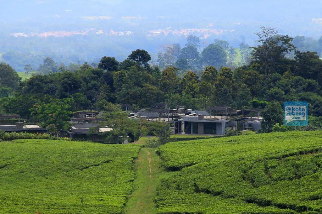 Menyatu dengan Alam di Tea Garden Resort Subang - KOTASUBANG.com