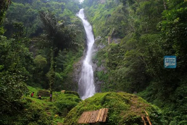 Desa Wisata Cibeusi Subang, Menikmati Keindahan Curug Hingga Beras ...