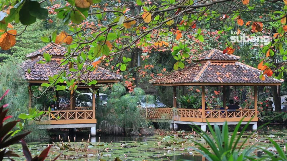 Rumah Makan Bale Desa, Tempatnya Makin Asri, Menunya Unik (Kuliner ...