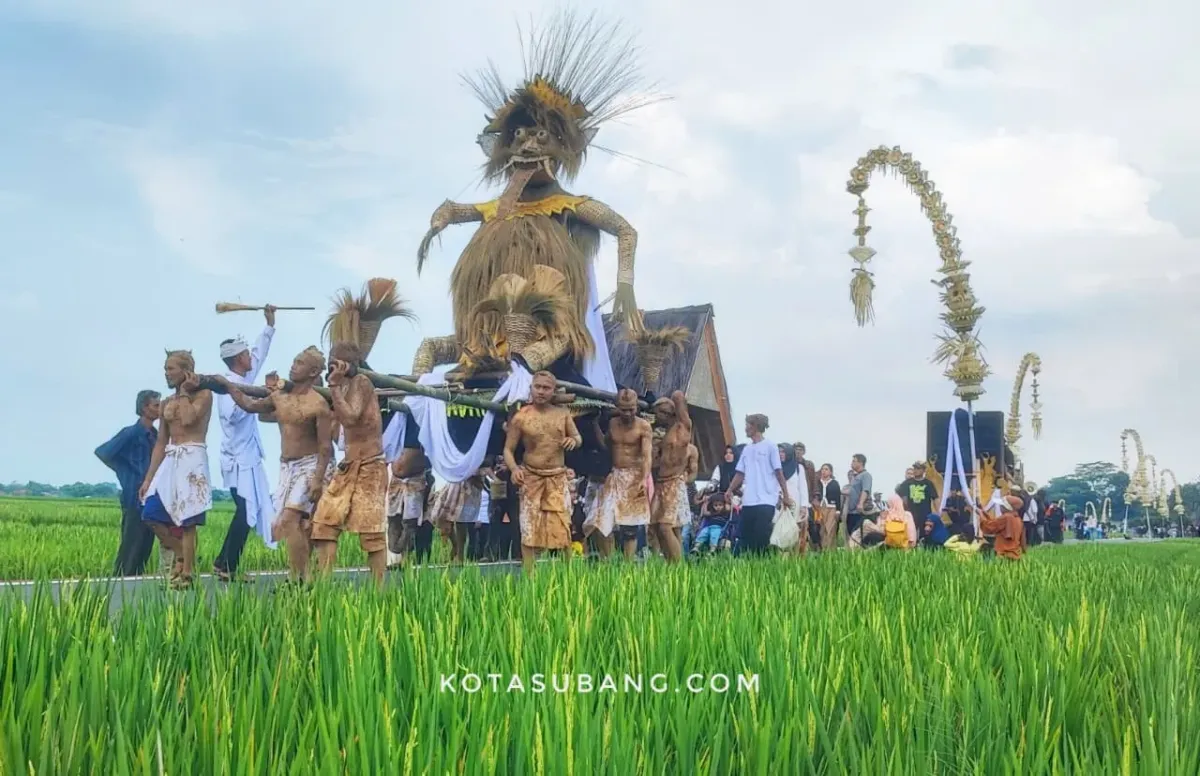 Ribuan Pengunjung Saksikan Ngarak Budak Sunat Meriahkan Ulang Tahun KDM ...
